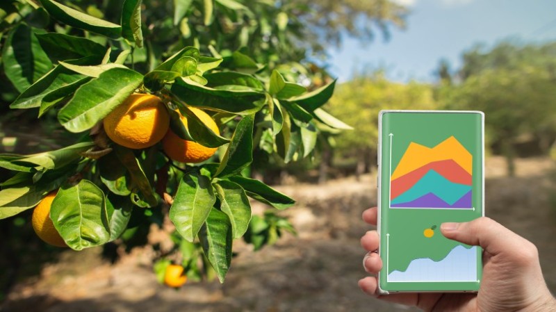 An AI Fruit Yield Prediction System for the best Harvest